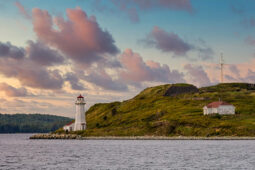 Port Management - Tidalis